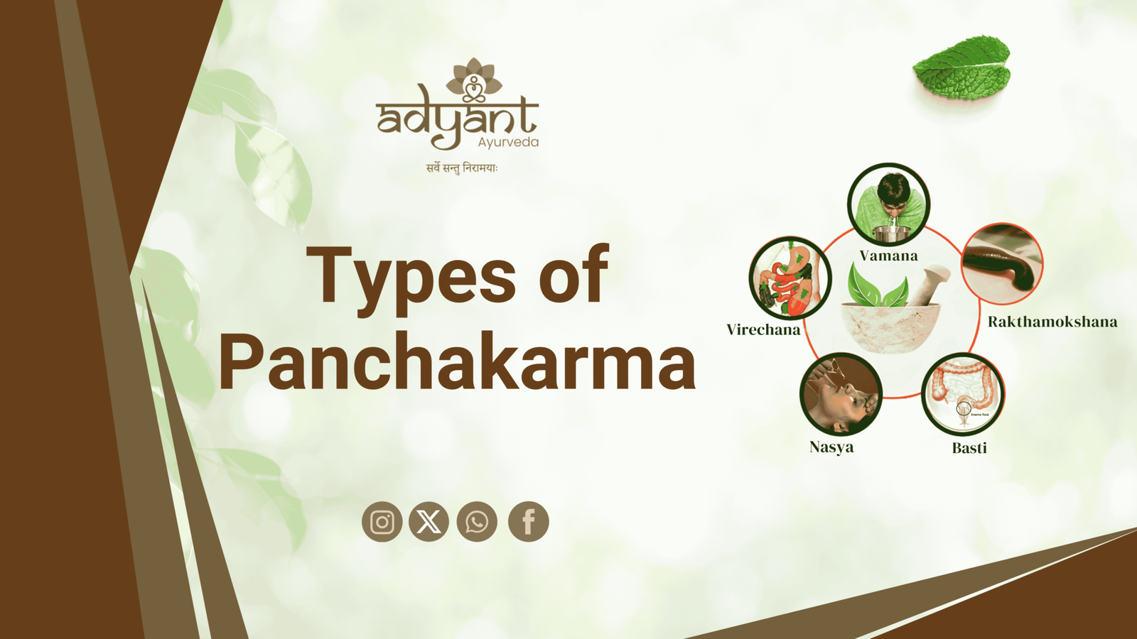 Types of Panchakarma and Which One is Right for You | Adyant Ayurveda